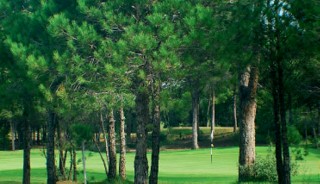 Faldo talks Turkey at Cornelia