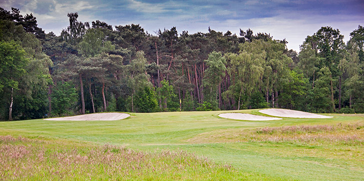 Six holes designed by Frank Pont open at De Dommel