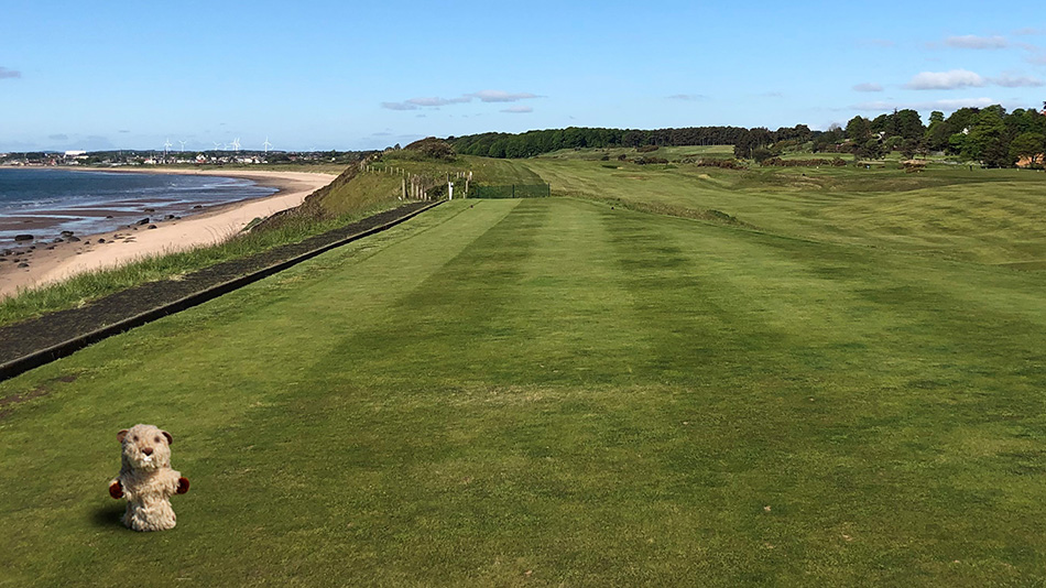 Golf, Latest News, Courses, Technology | GolfCourseArchitecture.net ...