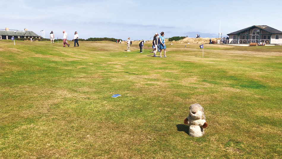 Golf, Latest News, Courses, Technology | GolfCourseArchitecture.net ...