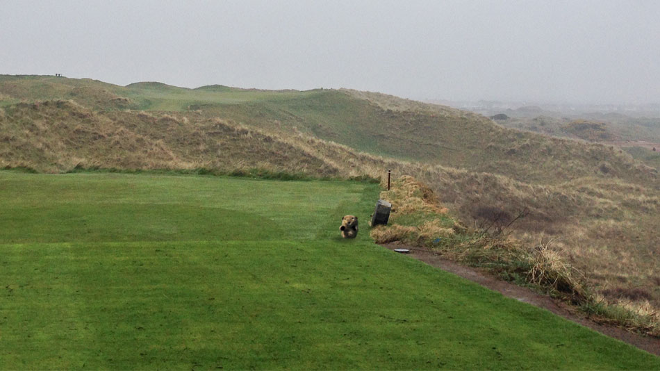 Golf, Latest News, Courses, Technology | GolfCourseArchitecture.net ...