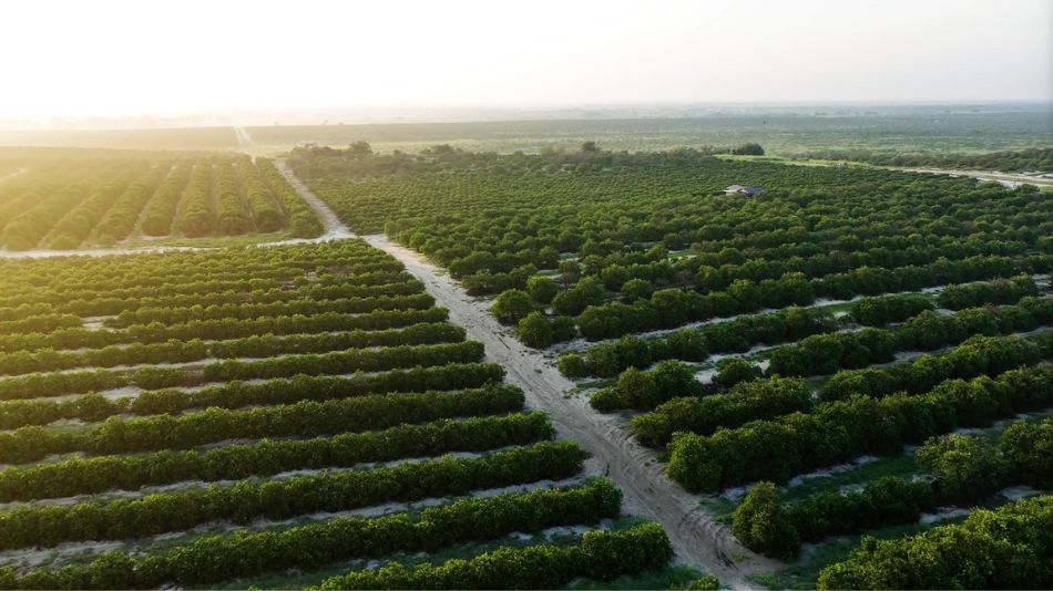 Golf, Latest News, Courses, Technology | GolfCourseArchitecture.net ...