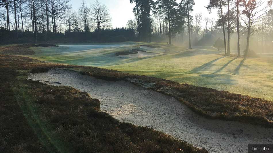 The importance of embedding golf in nature